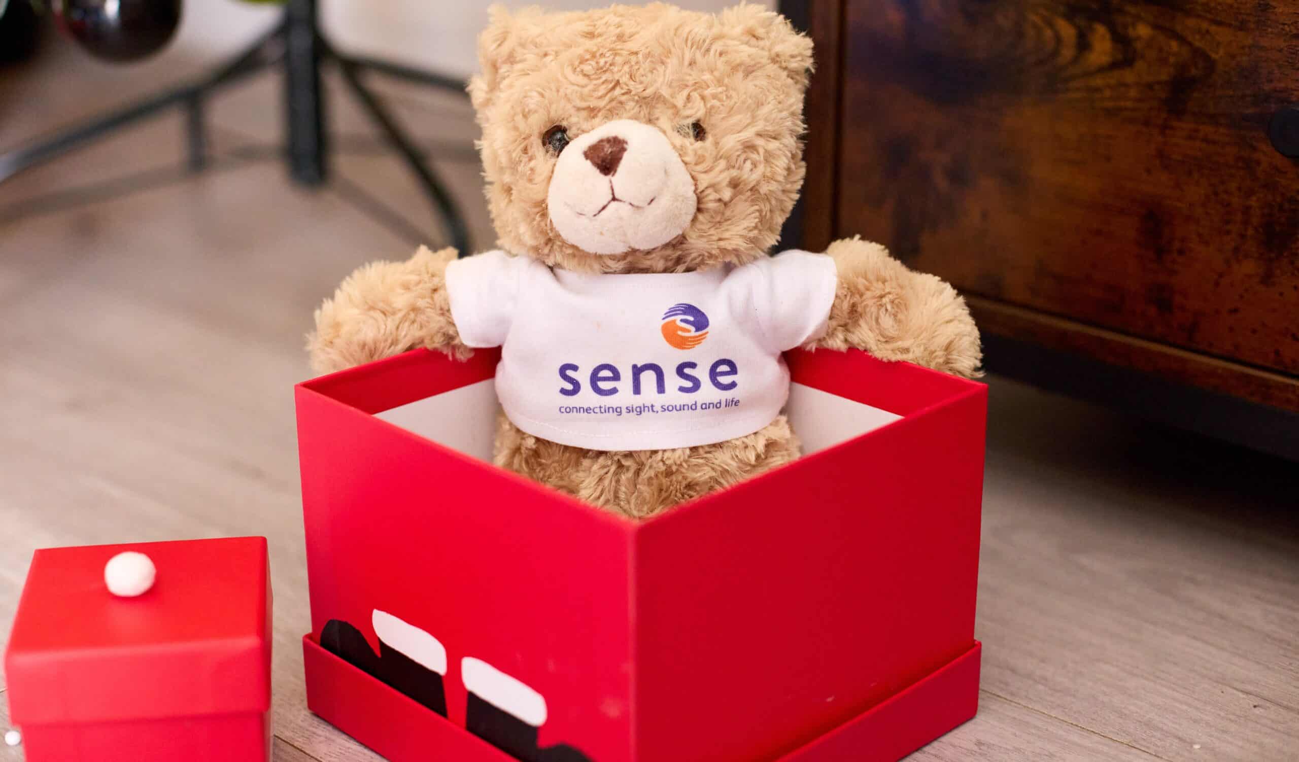 Our Christmas gift guide for disabled children with complex needs - Sense